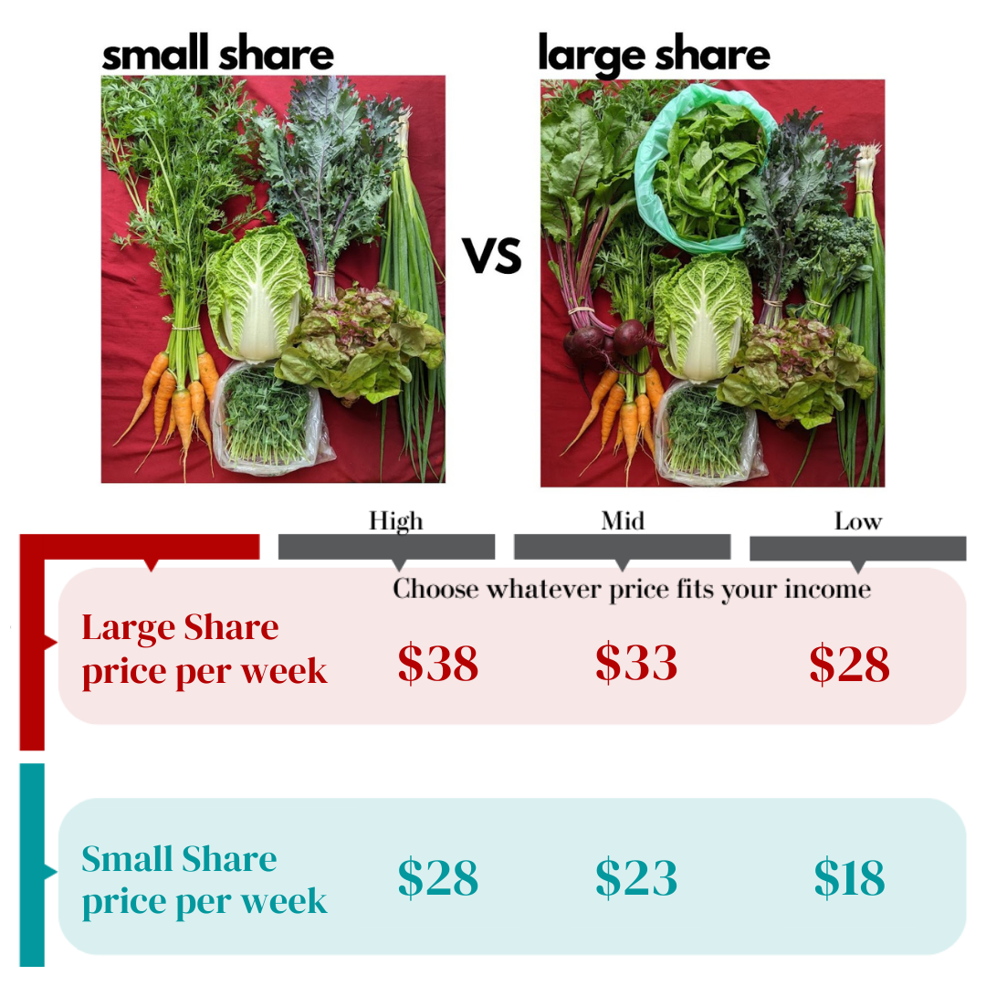 CSA Farm Subscription